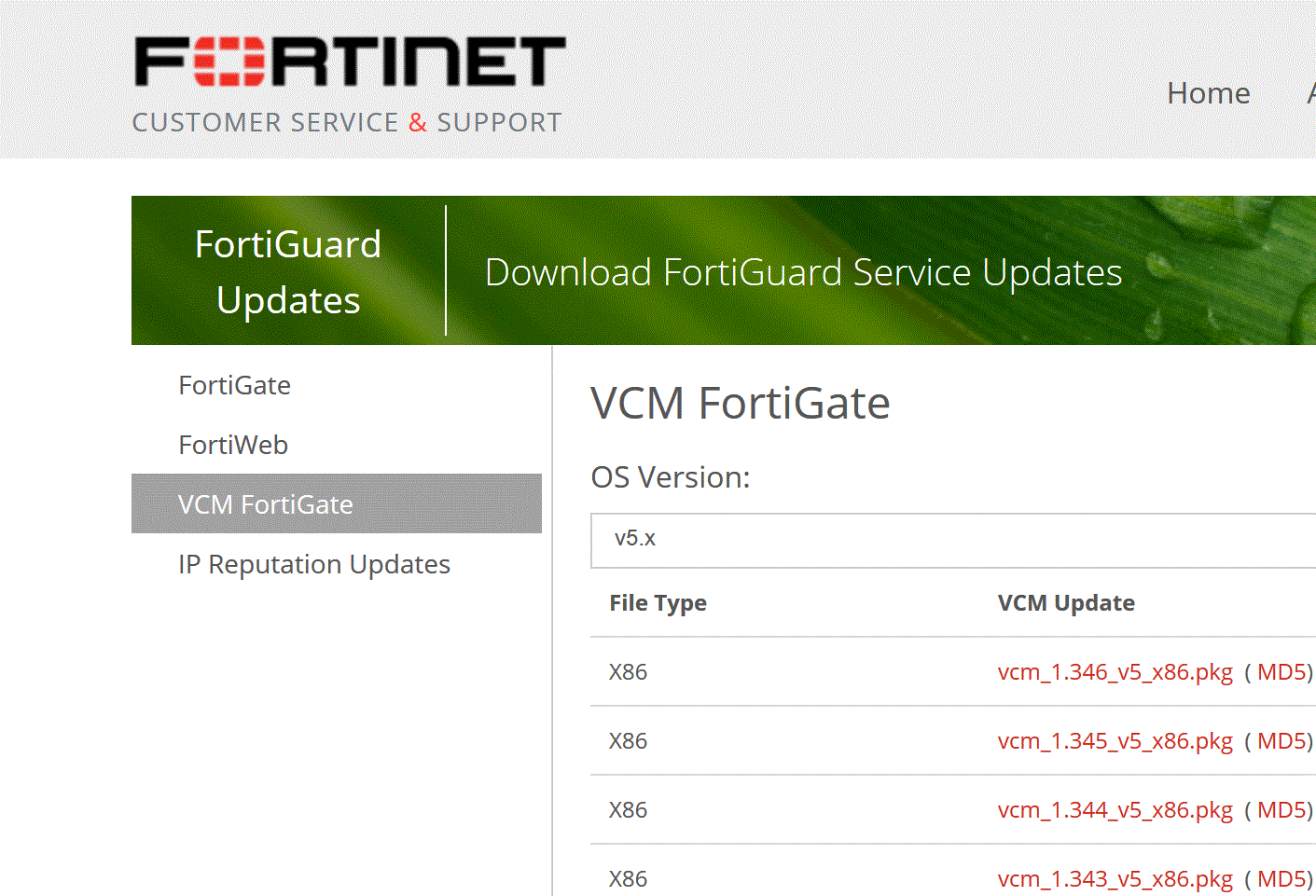 vulnerability scan - Fortinet Community